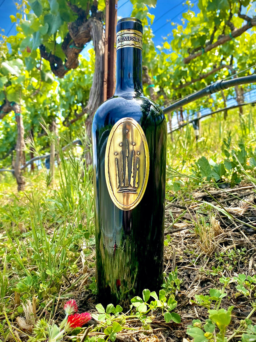 2019 CABERNET SAUVIGNON – Matthew Dempsey Wines